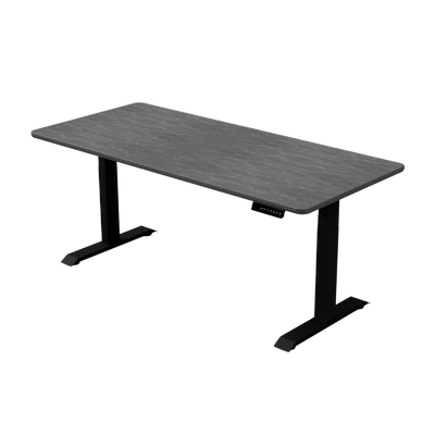 Rex Stone Adjustable Standing Desks - LEVO Standing Desk